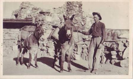 Emily Anne PHELAN – Keeper of the Family